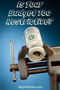 Is Your Budget Too Restrictive? - BargainBriana